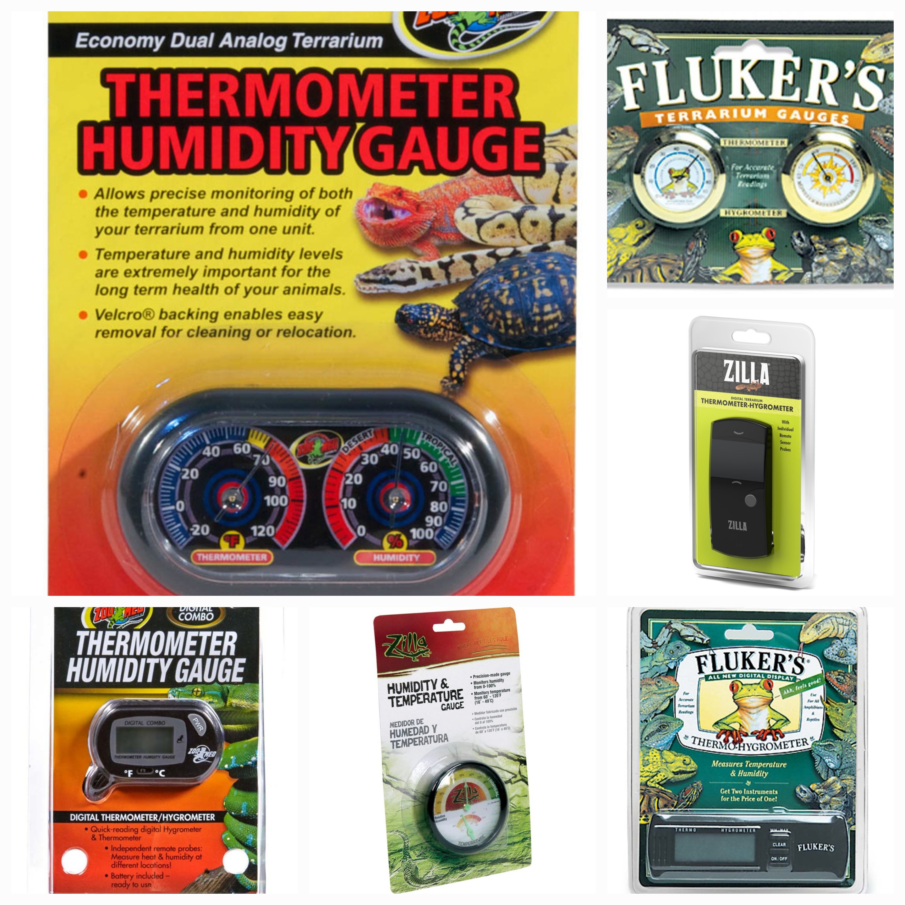 CRAZY FROG LADY L.L.C.